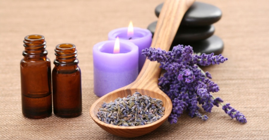 Propiedades y beneficios del olor de la lavanda | Ambiseint